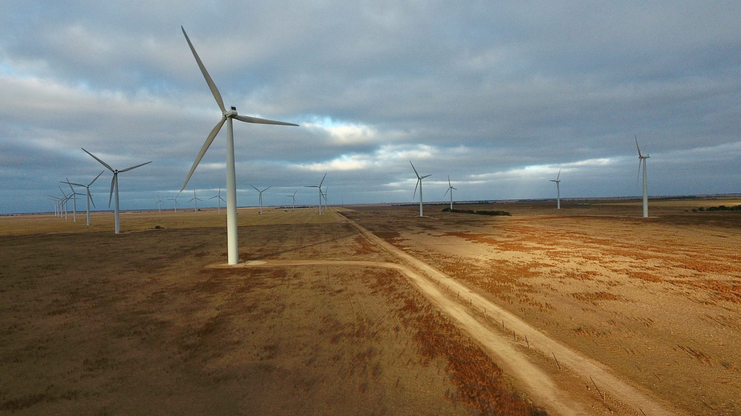 Behind the blades: My visit to the Wattle Point Wind Farm – Our Dusty ...
