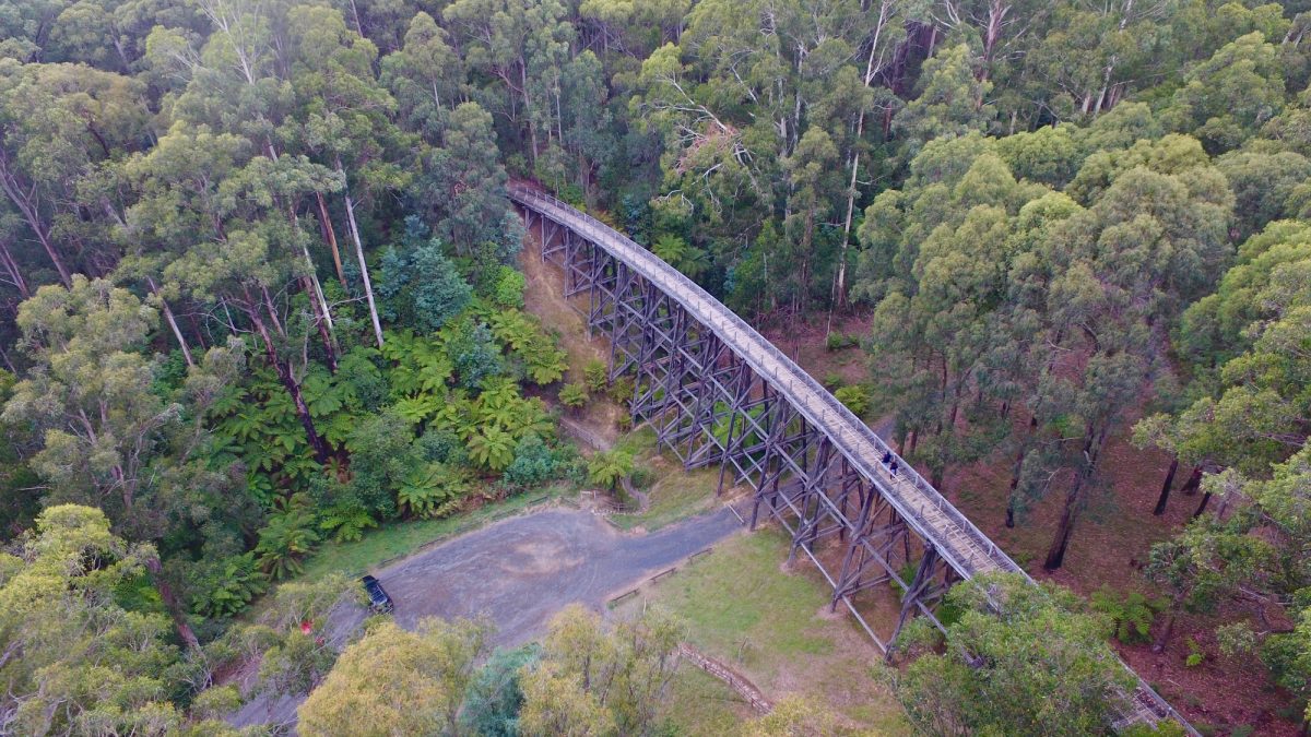 Noojee Trestle Bridge Rail Trail – Our Dusty Backroads